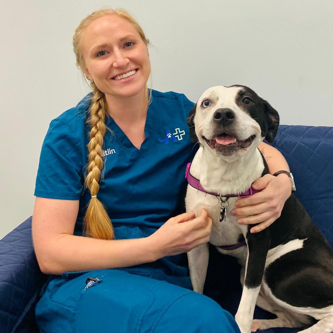 Caitlin C - Advanced Veterinary Care Center