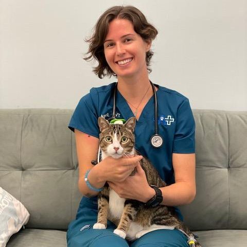 April Hardison_CVT_Emergency Nurse - Best Emergency Vet Care| South ...